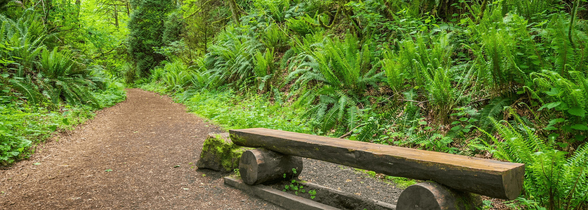 Search | King County